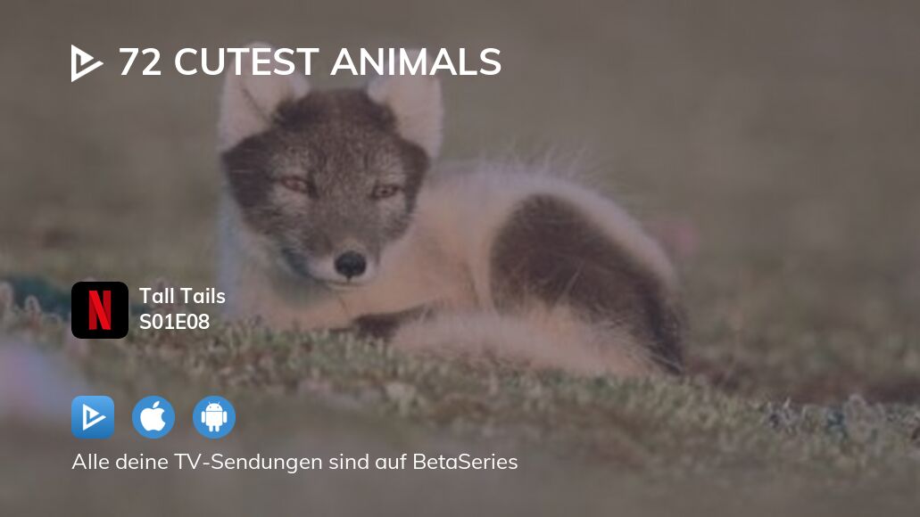 Where to watch 72 Cutest Animals season 1 episode 8 full streaming ...