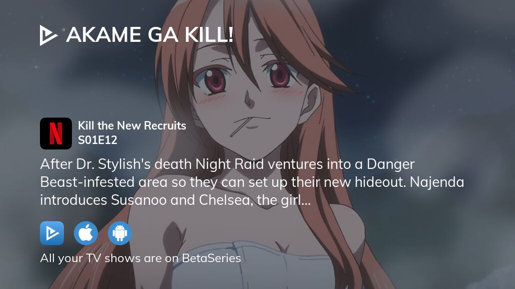 Watch Akame ga Kill! season 1 episode 12 streaming online | BetaSeries.com