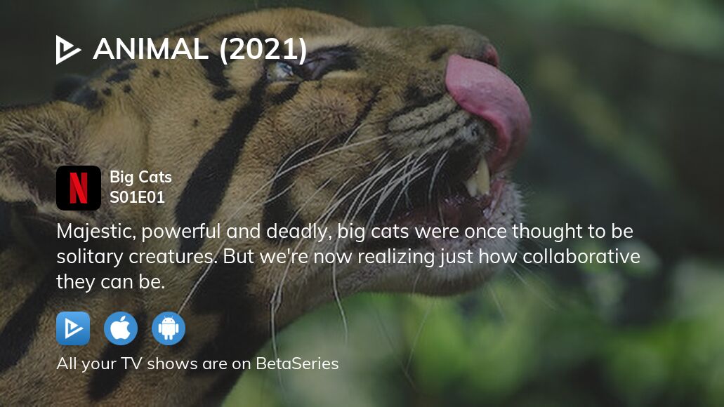 Watch Animal (2021) season 1 episode 1 streaming