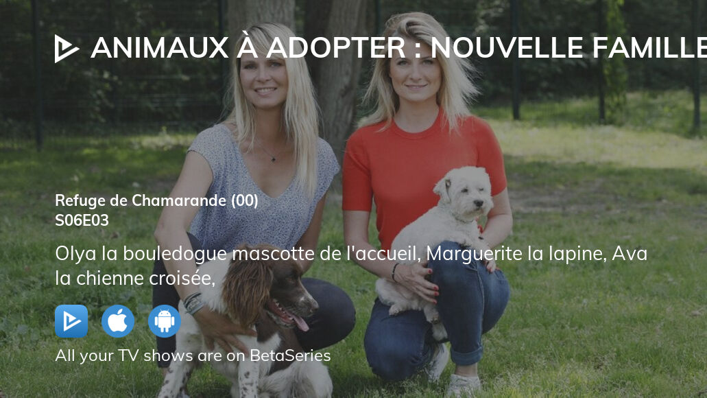 Where to watch Animaux à adopter : Nouvelle famille pour une nouvelle vie season 6 episode 3 ...