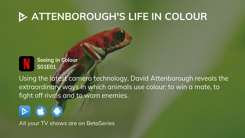 Where to watch Attenborough's Life in Colour season 1 episode 1 full ...