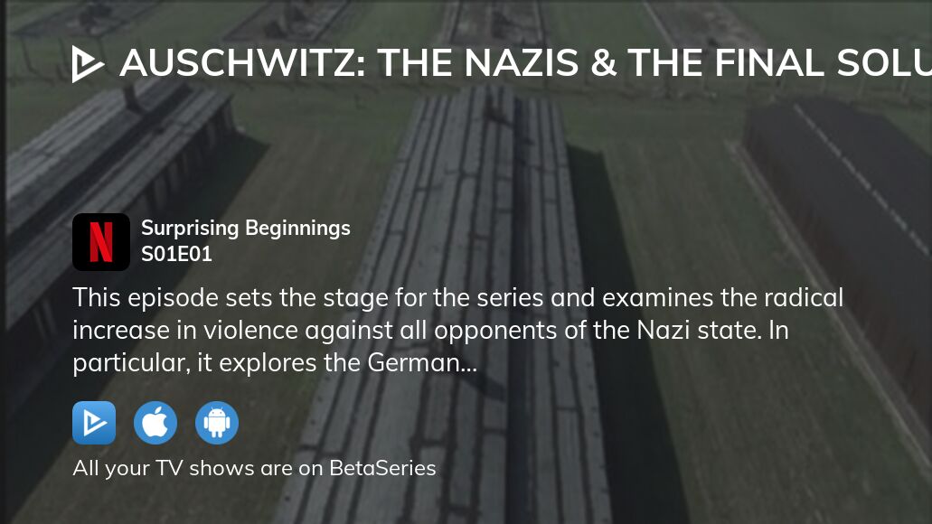 Watch Auschwitz: The Nazis & The Final Solution season 1 episode 1 ...