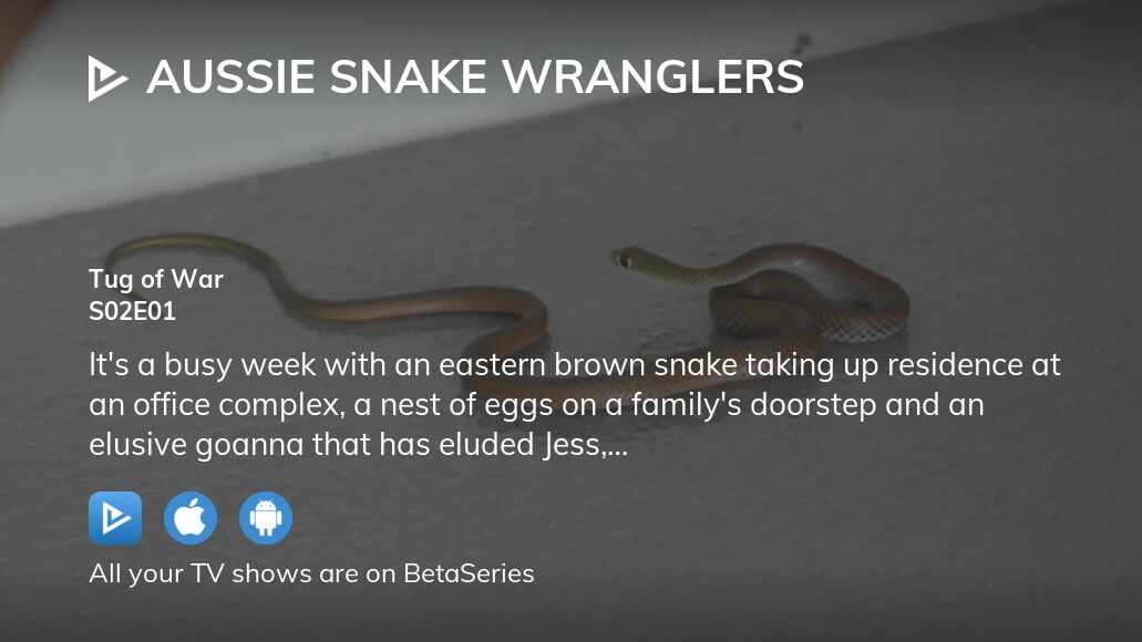 Where to watch Aussie Snake Wranglers season 2 episode 1 full streaming? | BetaSeries.com
