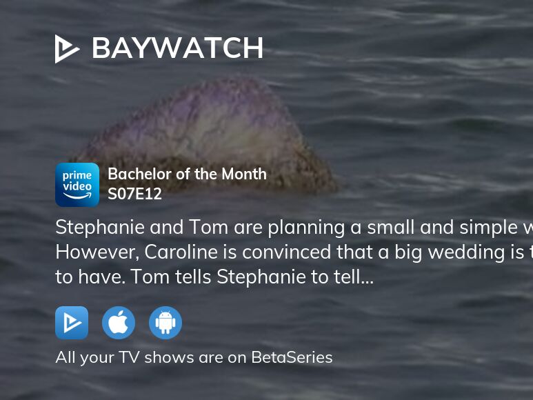 Watch Baywatch season 7 episode 12 streaming