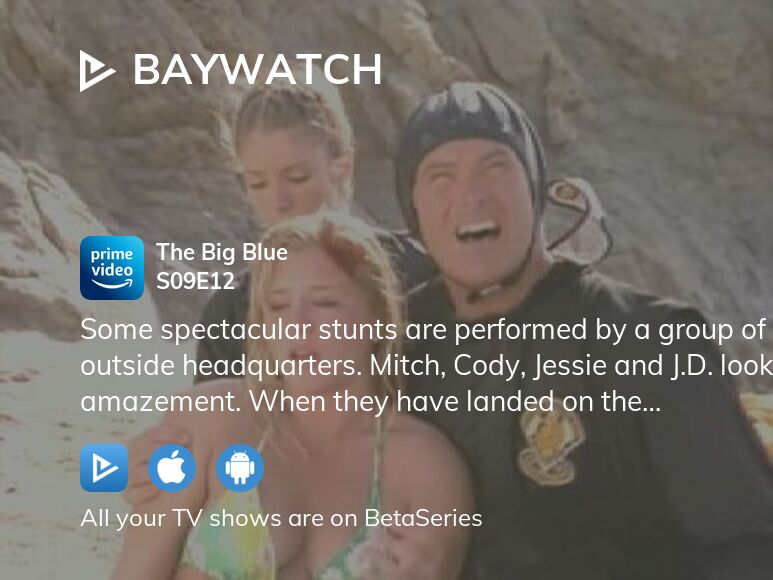 Watch Baywatch season 9 episode 12 streaming