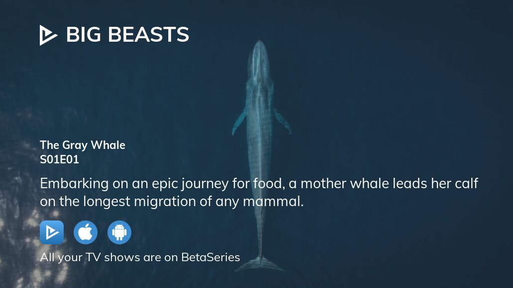 Watch Big Beasts season 1 episode 1 streaming | BetaSeries.com
