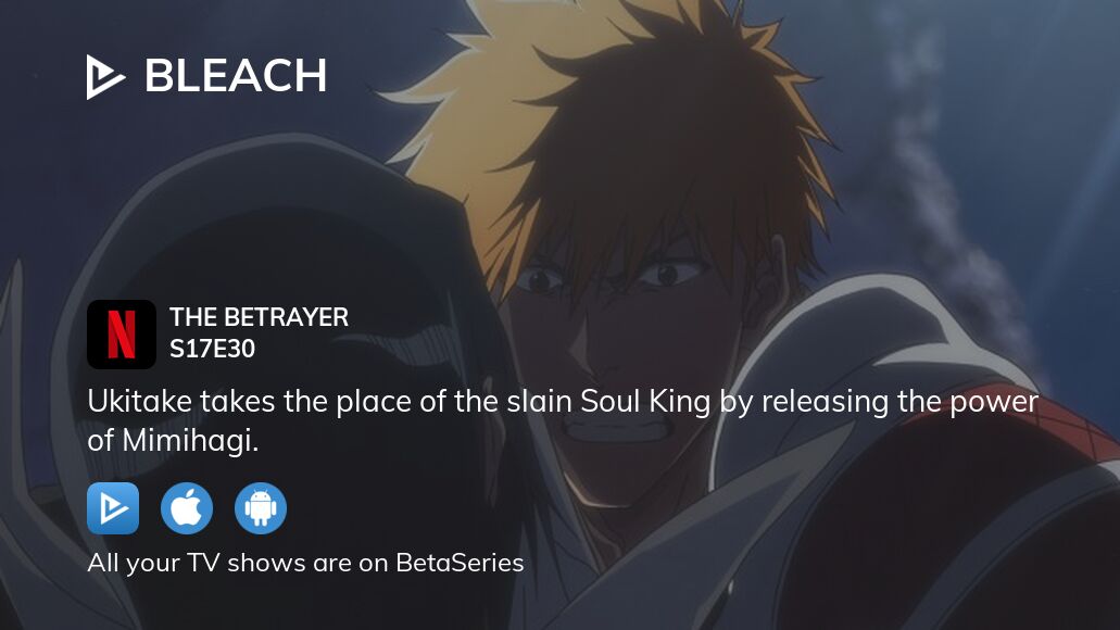Watch Bleach season 17 episode 30 streaming