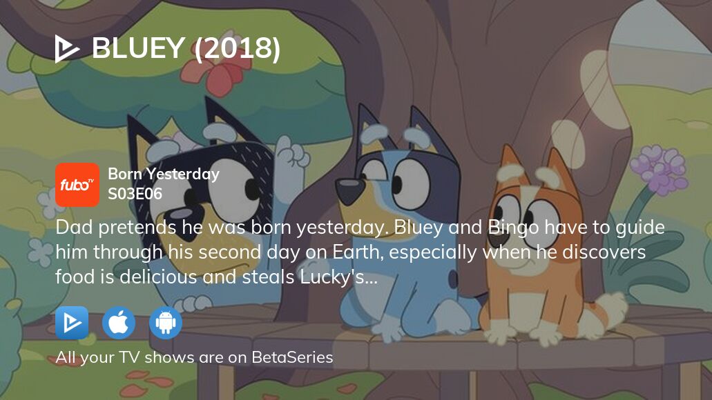Where to watch Bluey season 3 episode 6 full streaming? | BetaSeries.com