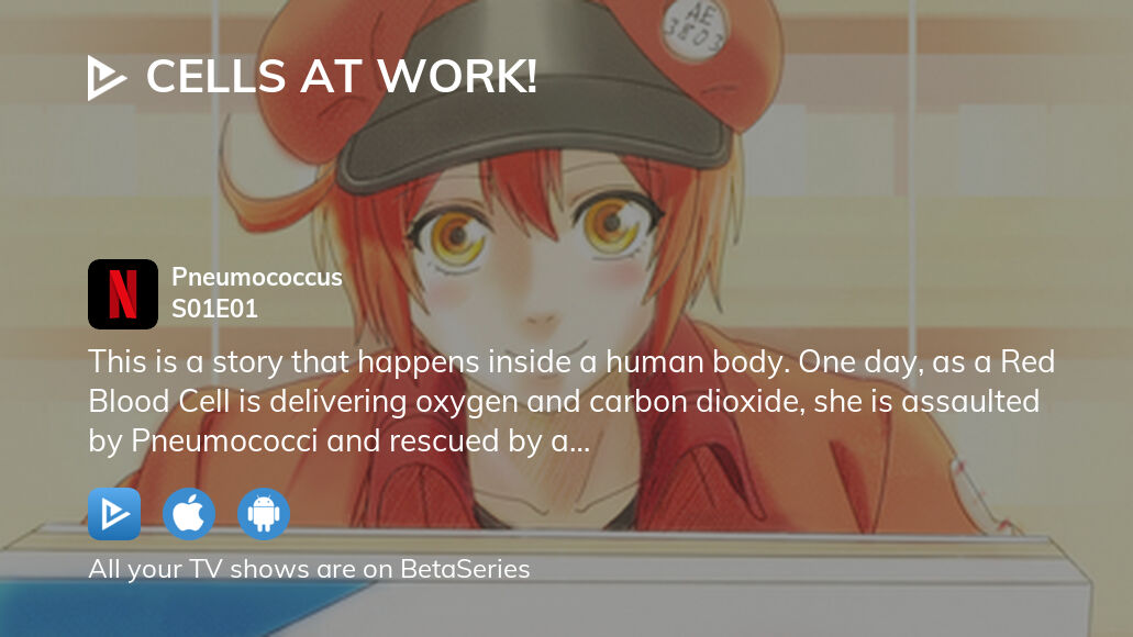 Watch Cells at Work! season 1 episode 1 streaming