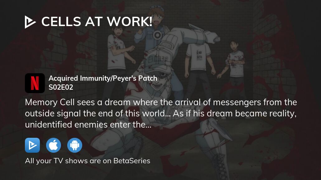 Where to watch Cells at Work! season 2 episode 2 full streaming ...