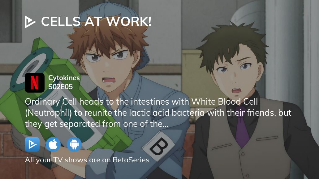 Watch Cells at Work! season 2 episode 5 streaming