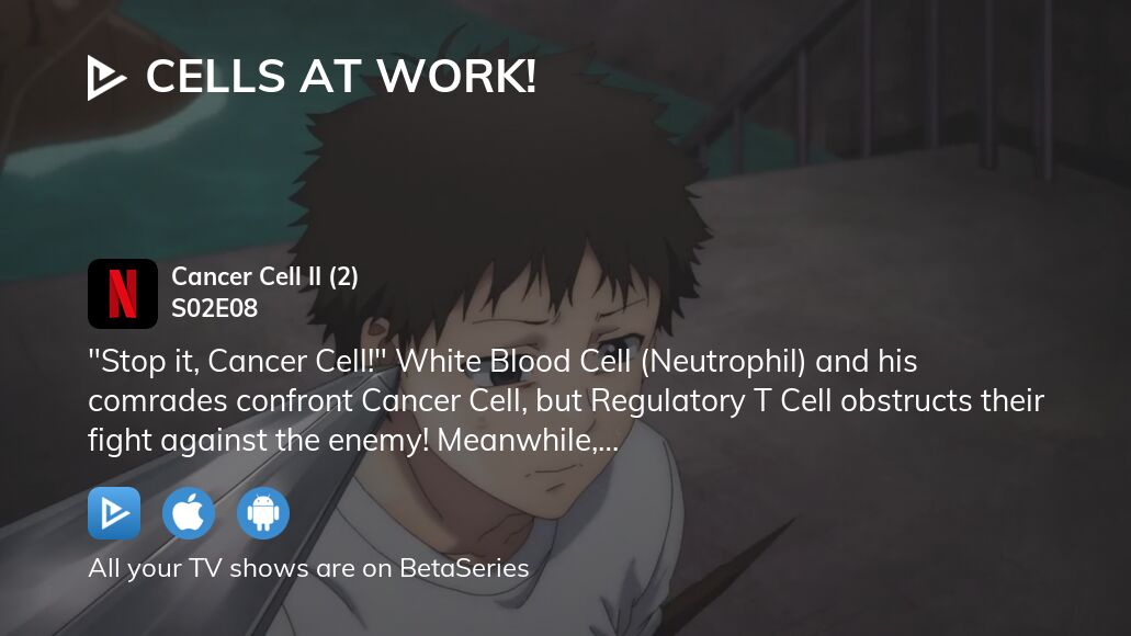 Watch Cells at Work! season 2 episode 8 streaming