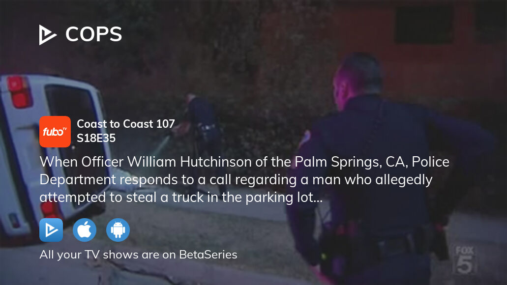 Watch Cops season 18 episode 35 streaming