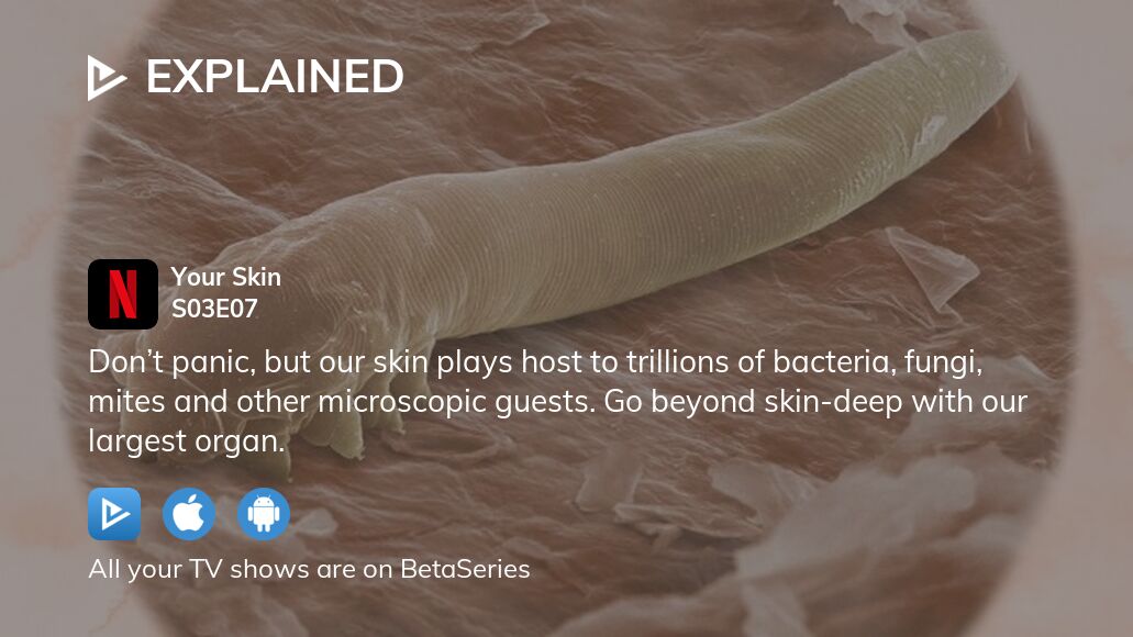 Watch Explained season 3 episode 7 streaming