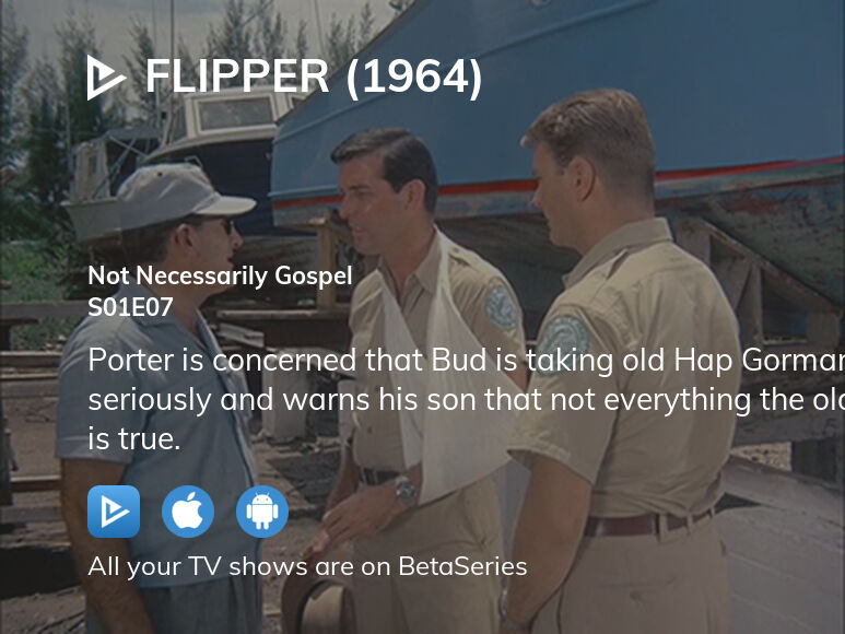 Watch Flipper season 1 episode 7 streaming