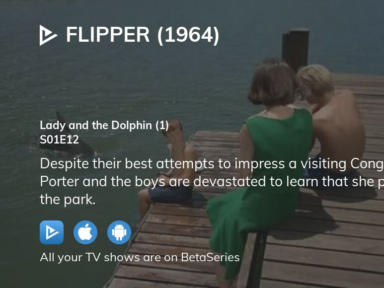 Watch Flipper season 1 episode 12 streaming