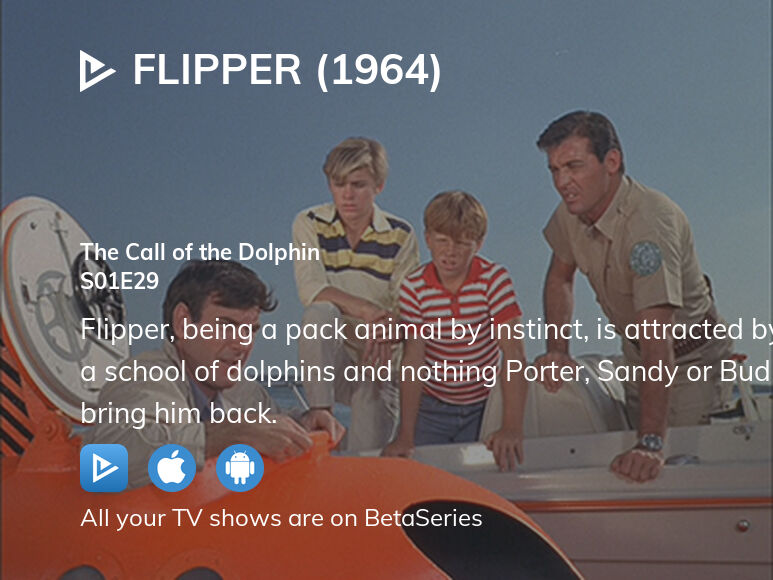 Watch Flipper season 1 episode 29 streaming