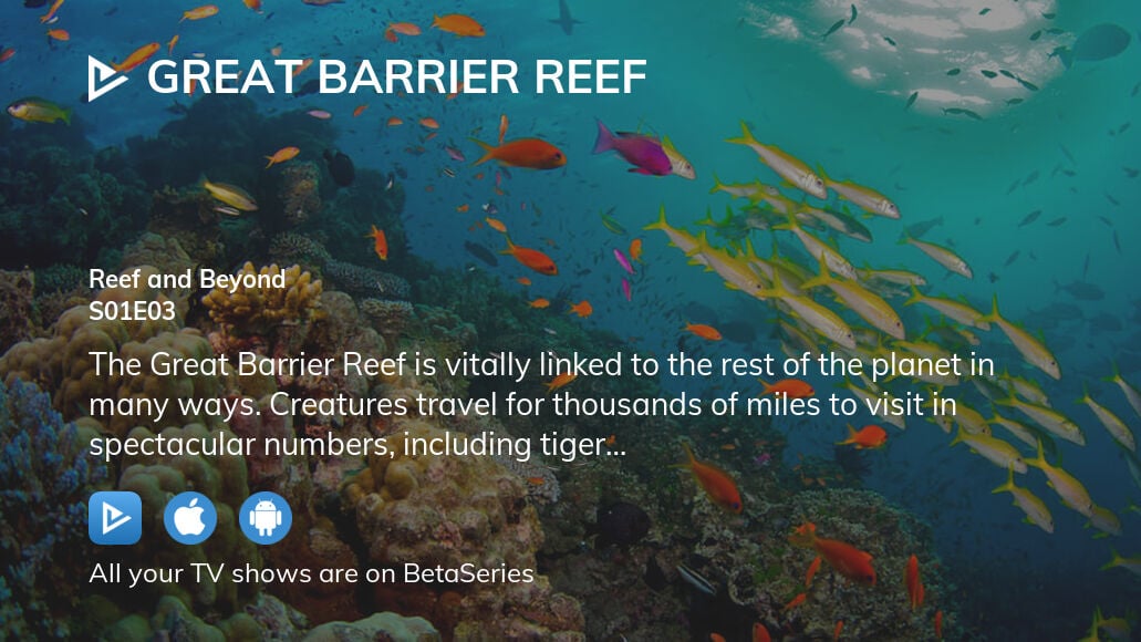 Watch Great Barrier Reef season 1 episode 3 streaming