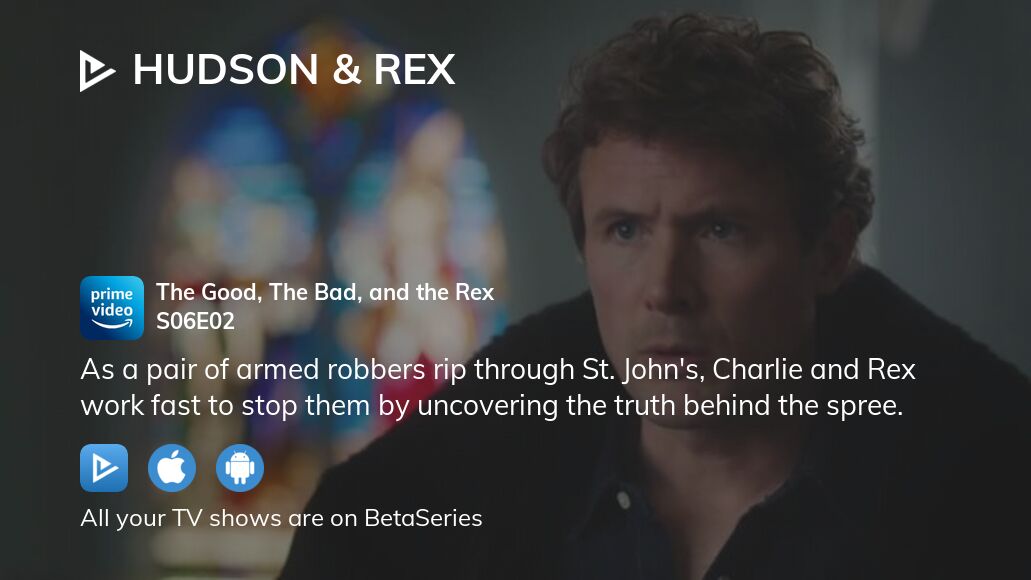 Watch Hudson & Rex season 6 episode 2 streaming