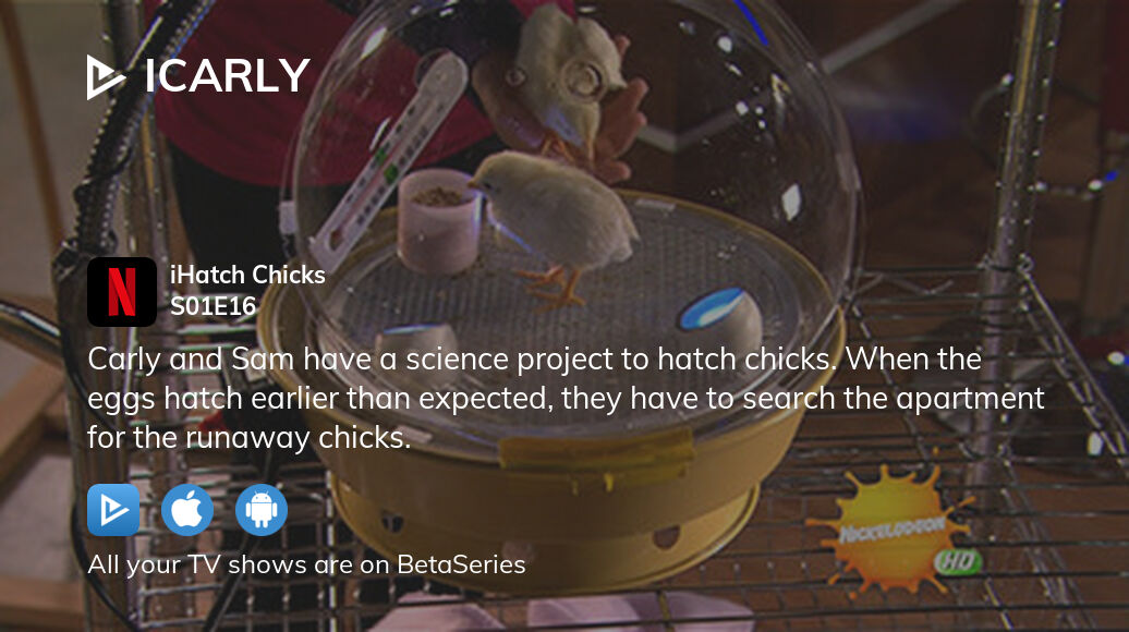 Watch iCarly season 1 episode 16 streaming