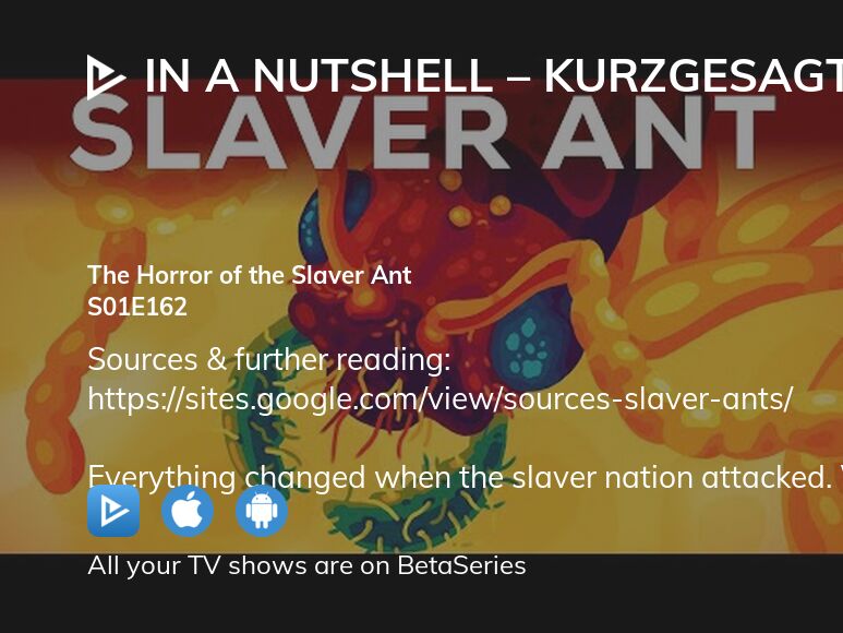 Where to watch In a Nutshell – Kurzgesagt season 1 episode 162 full ...