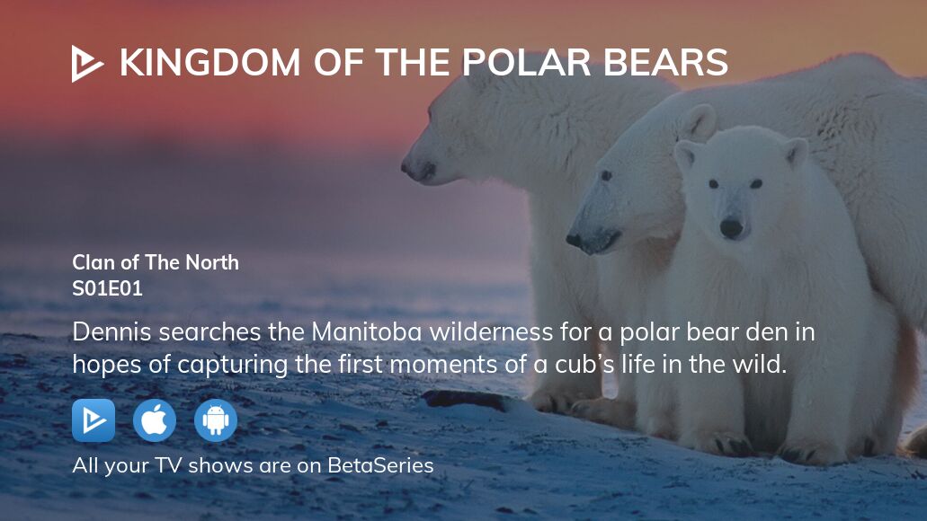Watch Kingdom of the Polar Bears season 1 episode 1 streaming