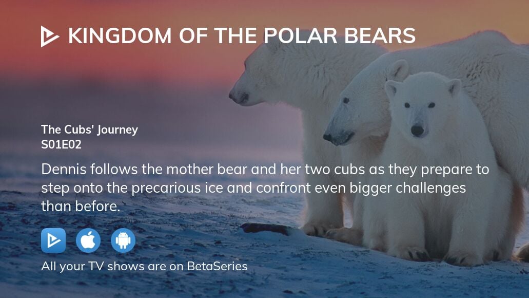 Watch Kingdom of the Polar Bears season 1 episode 2 streaming