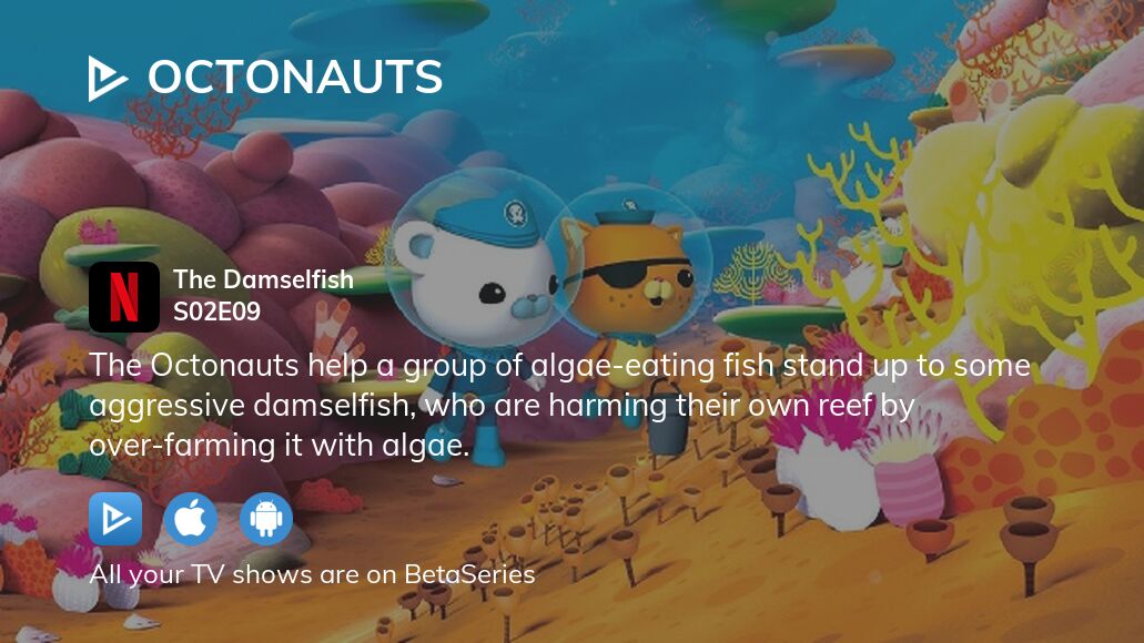 Where to watch Octonauts season 2 episode 9 full streaming ...