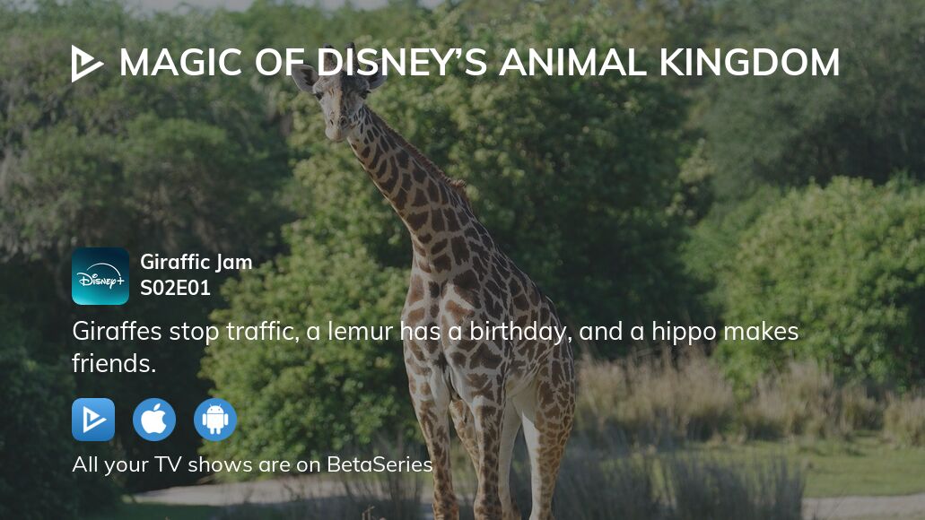 Where to watch Magic of Disney’s Animal Kingdom season 2 episode 1 full ...