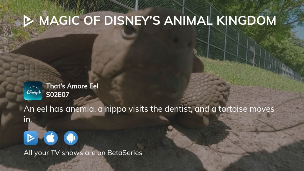 Watch Magic of Disney’s Animal Kingdom season 2 episode 7 streaming