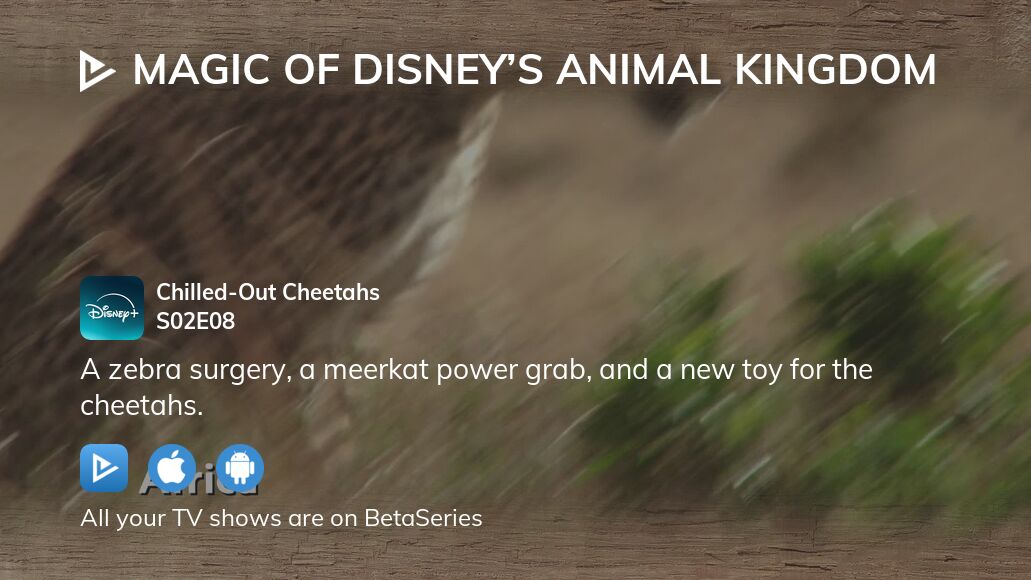 Video : Watch Magic of Disney’s Animal Kingdom season 2 episode 8 in ...