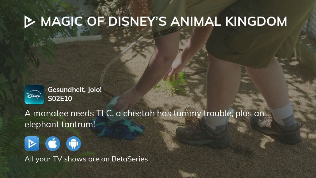 Where to watch Magic of Disney’s Animal Kingdom season 2 episode 10 ...