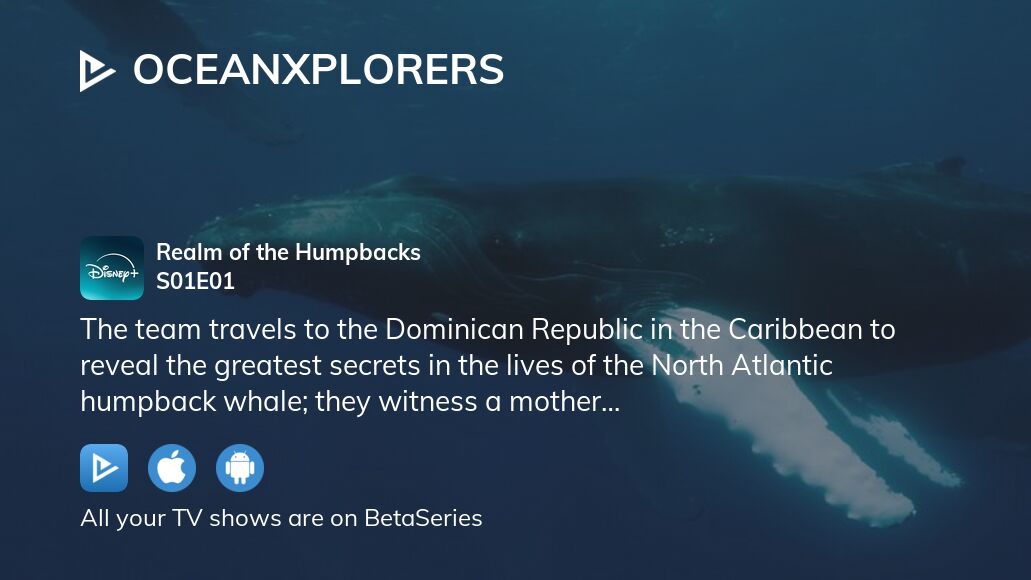 Watch OceanXplorers season 1 episode 1 streaming