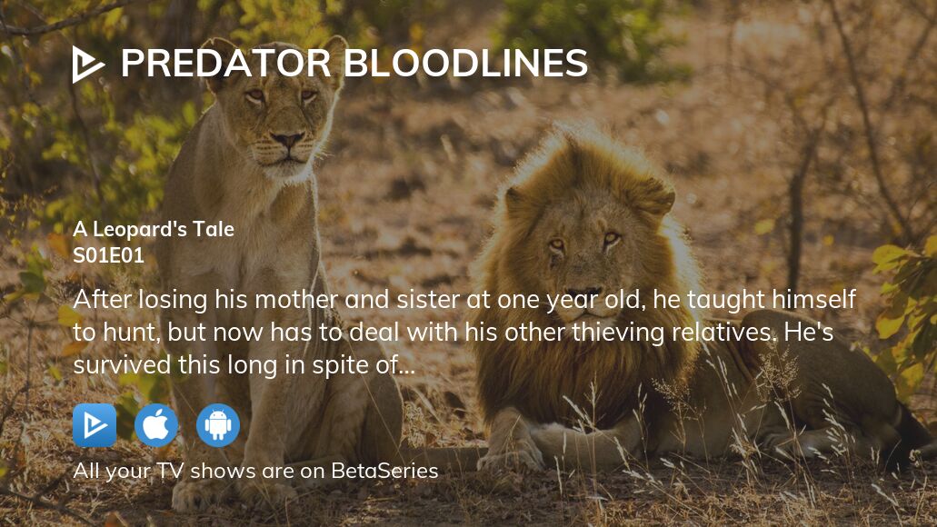 Where to watch Predator Bloodlines season 1 episode 1 full streaming ...