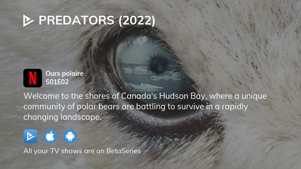 Where to watch Predators (2022) season 1 episode 2 full streaming ...