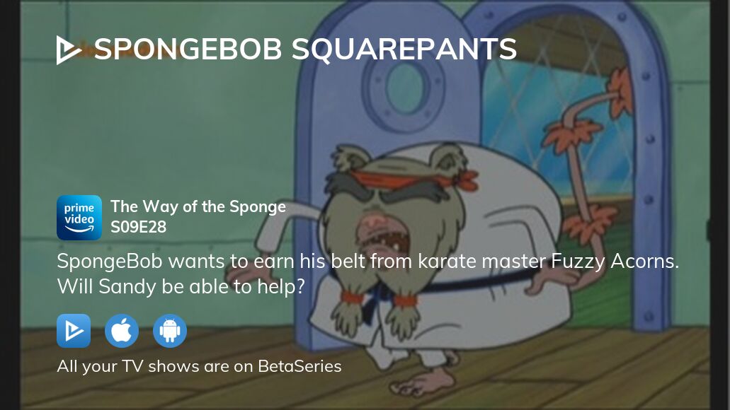 Where to watch SpongeBob SquarePants season 9 episode 28 full streaming ...