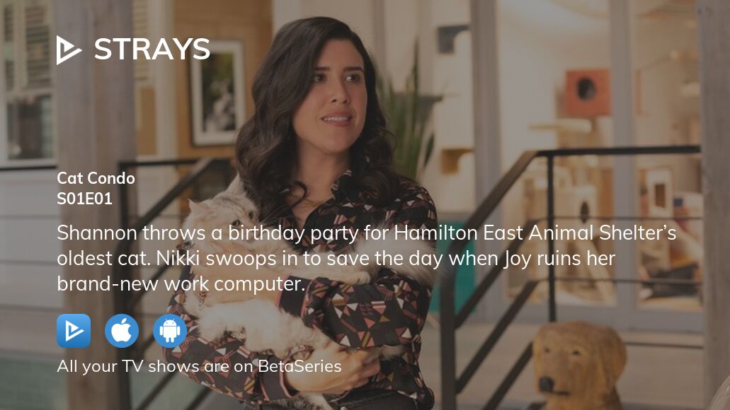 Where to watch Strays season 1 episode 1 full streaming? | BetaSeries.com