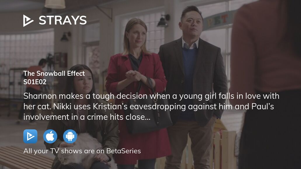 Watch Strays season 1 episode 2 streaming online | BetaSeries.com