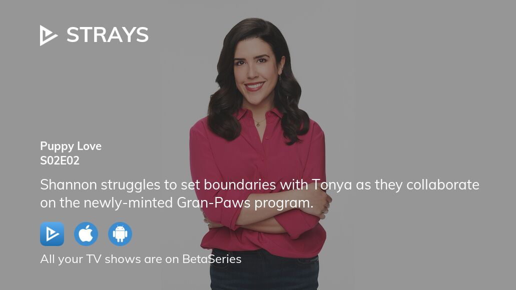 Watch Strays season 2 episode 2 streaming online | BetaSeries.com