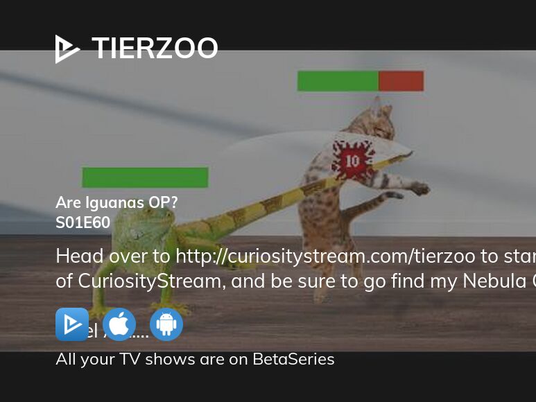 Watch TierZoo season 1 episode 60 streaming online | BetaSeries.com