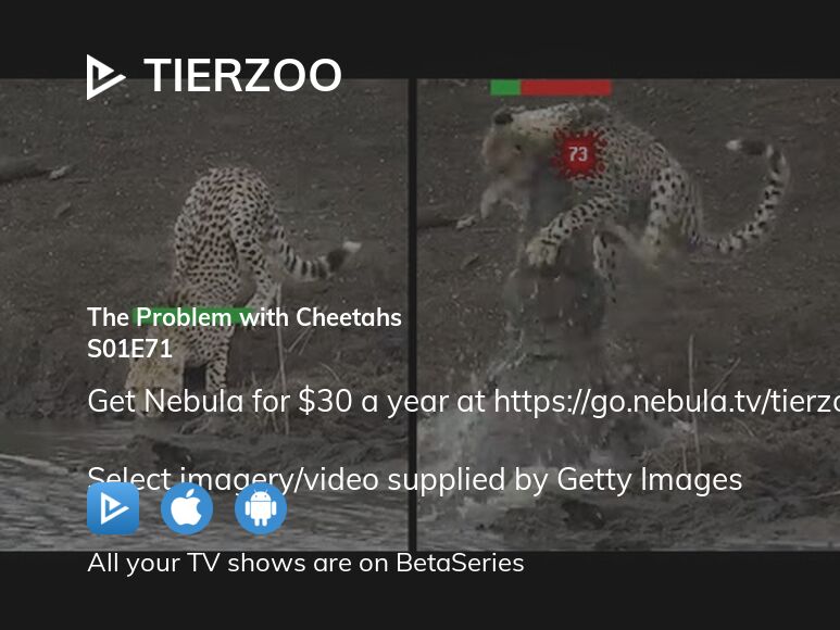 Watch TierZoo season 1 episode 71 streaming
