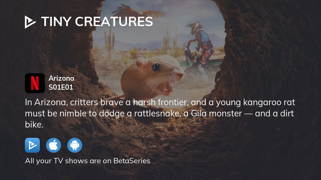Watch Tiny Creatures season 1 episode 1 streaming online | BetaSeries.com