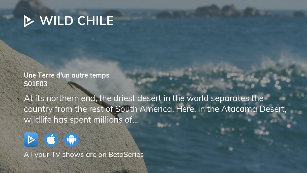 Watch Wild Chile season 1 episode 3 streaming