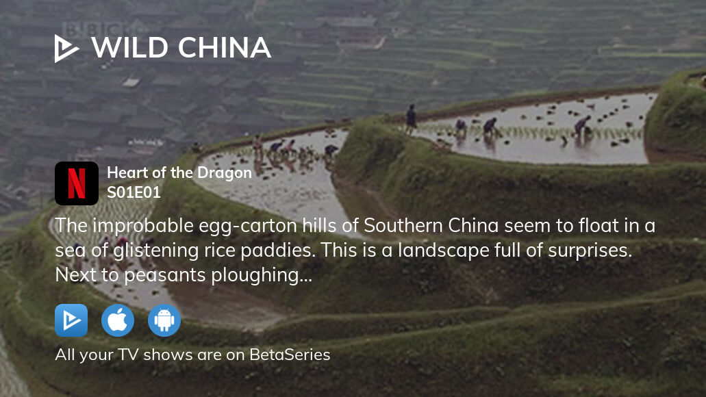 Watch Wild China season 1 episode 1 streaming