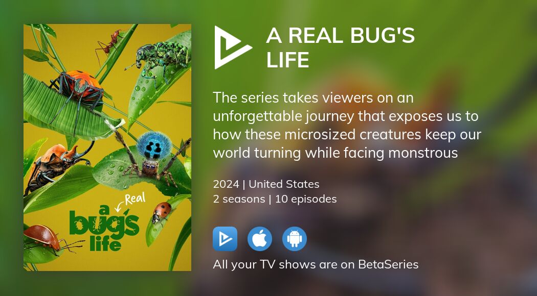 Watch A Real Bug's Life streaming
