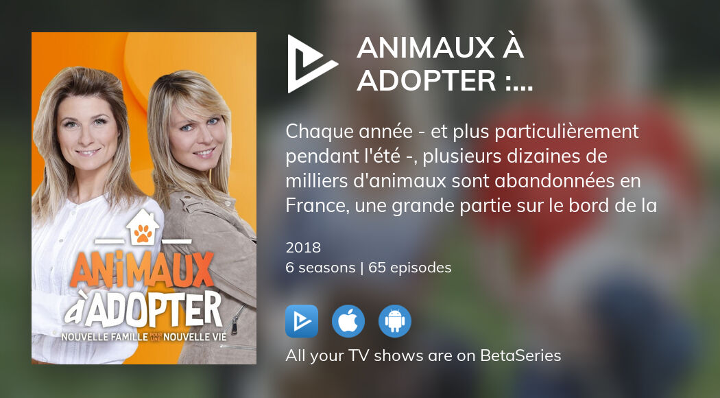 Watch Animaux à adopter : Nouvelle famille pour une nouvelle vie streaming