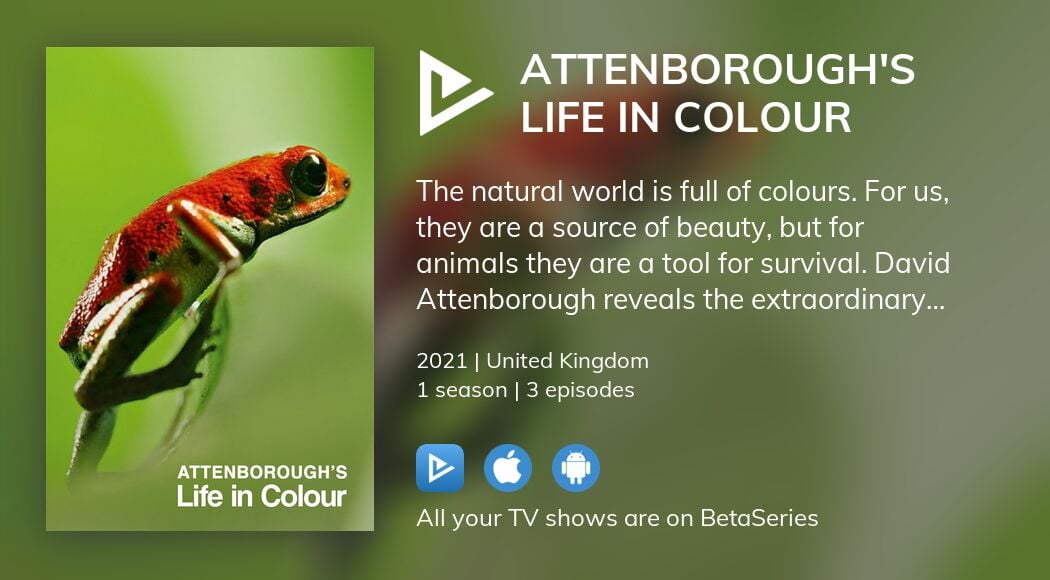 Where to watch Attenborough's Life in Colour TV series streaming online ...