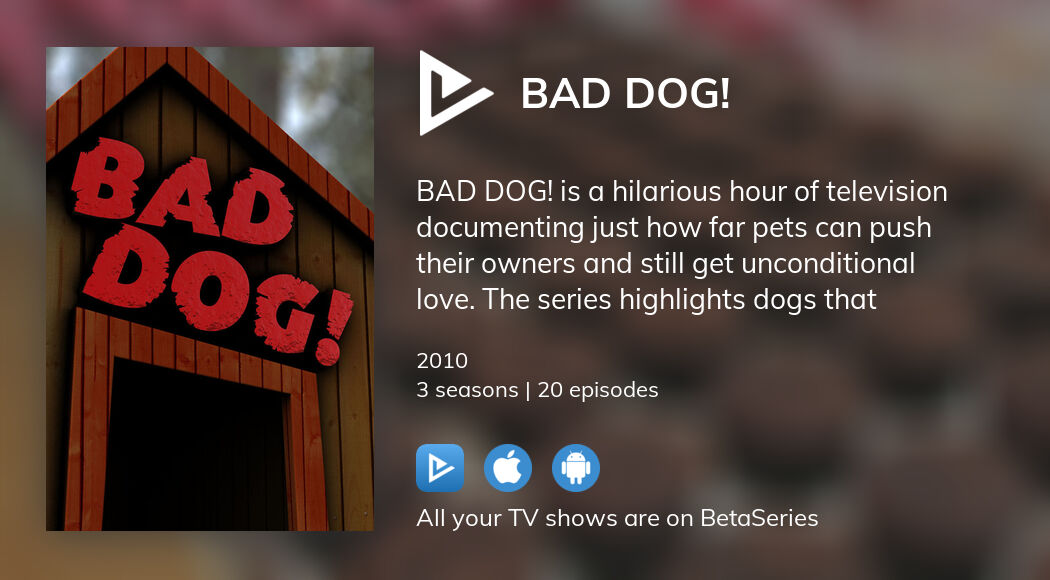 Watch Bad Dog! streaming