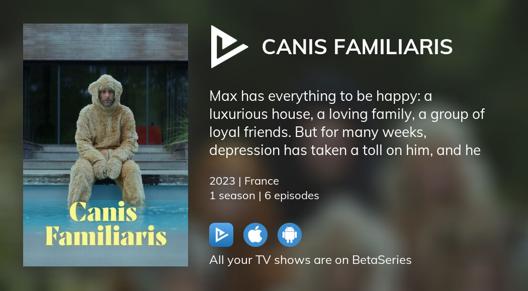 Watch Canis familiaris streaming