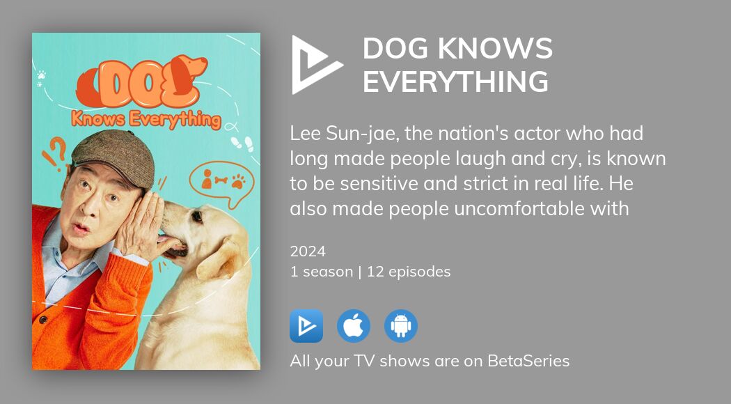 Watch Dog Knows Everything streaming